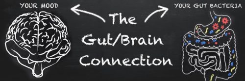 The Gut Brain Connection - Core Health Products